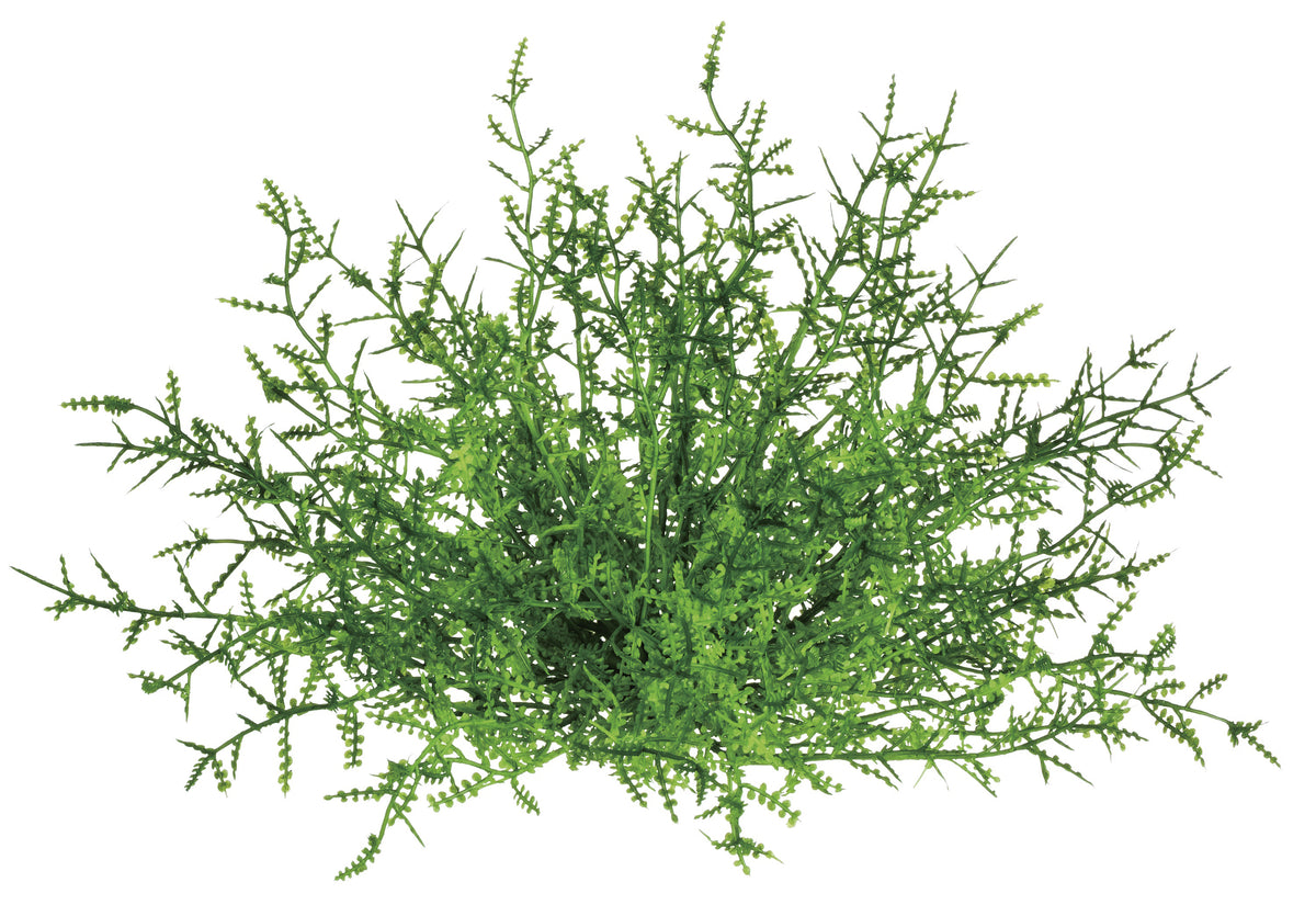 FEATHER FERN HALF ORB – Transpac Brands
