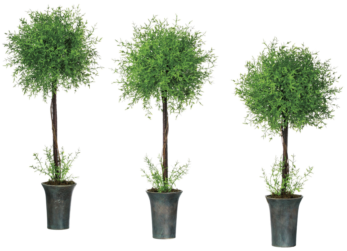 Feather Fern Topiary Tree Set – Transpac Brands