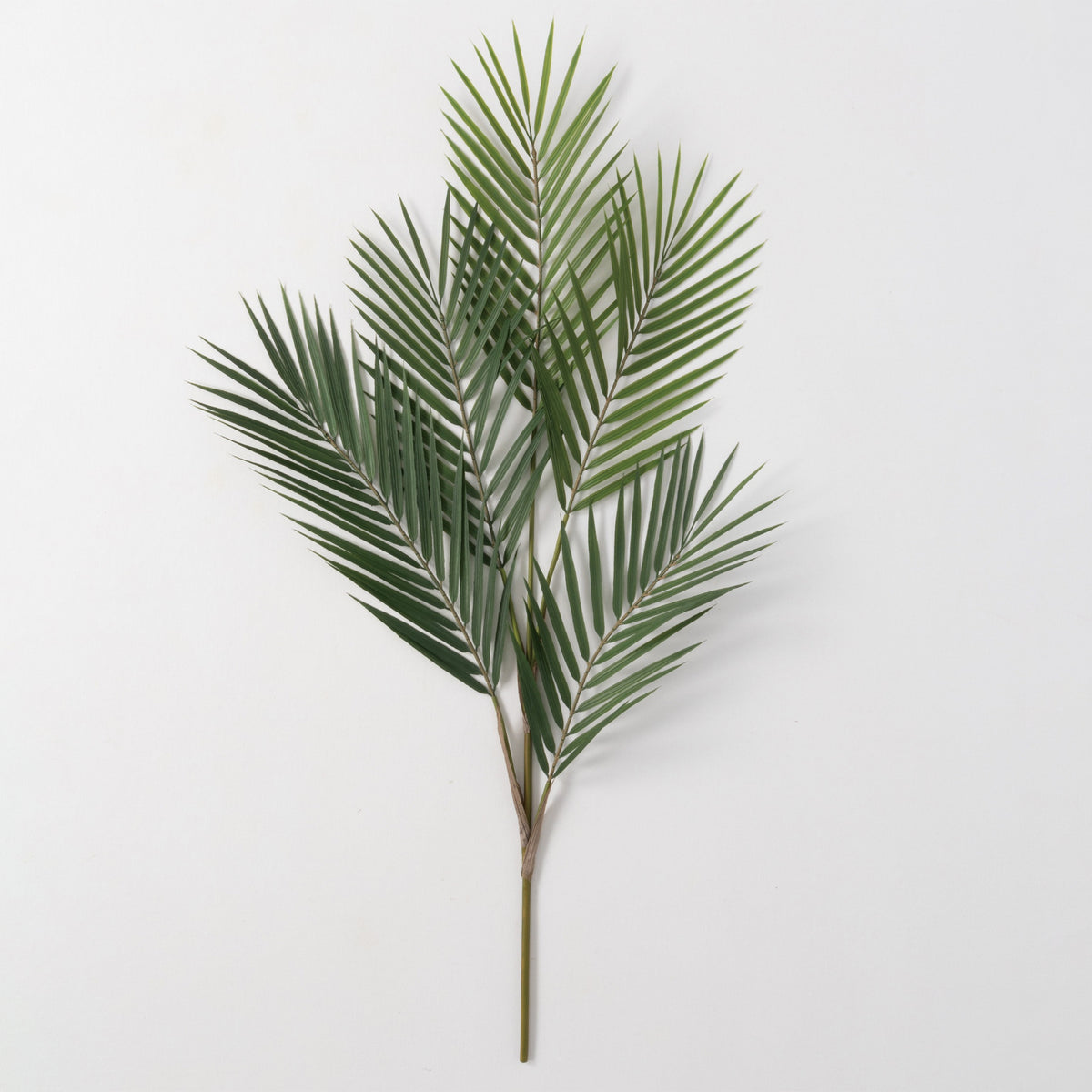 PALM SPRAY – Transpac Brands
