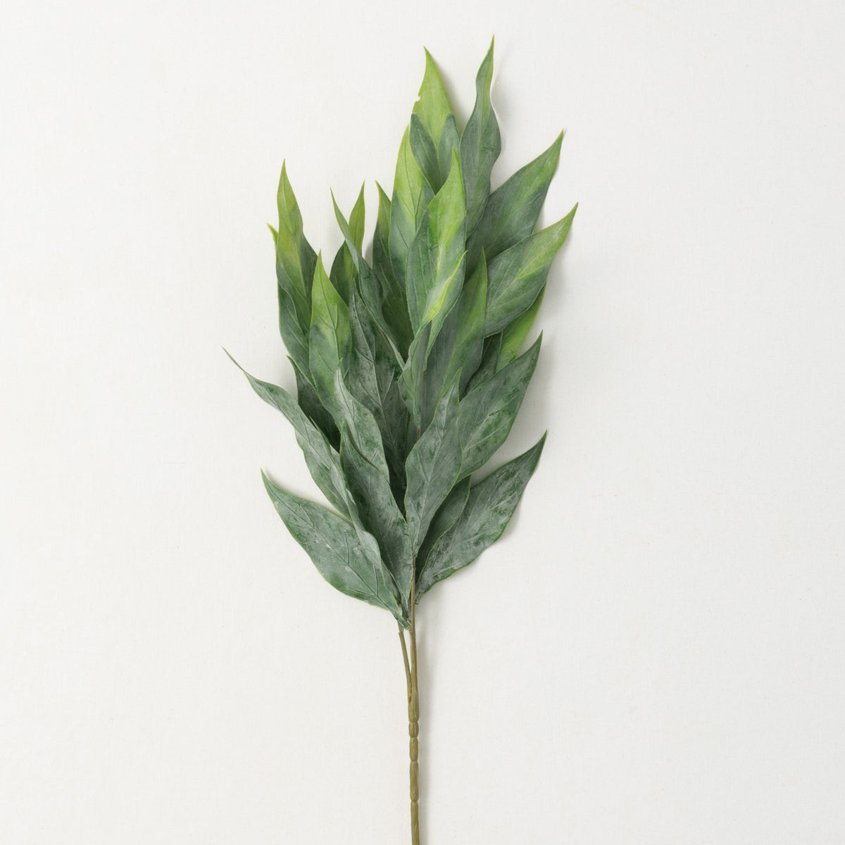 Foliage Stem – Transpac Brands