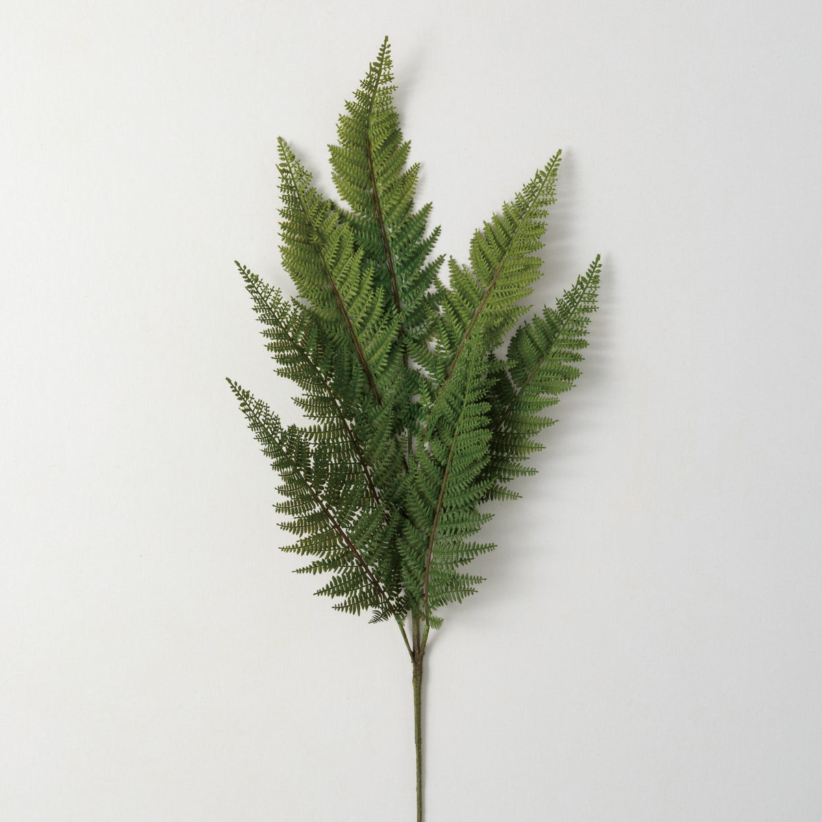 Fern Spray – Transpac Brands