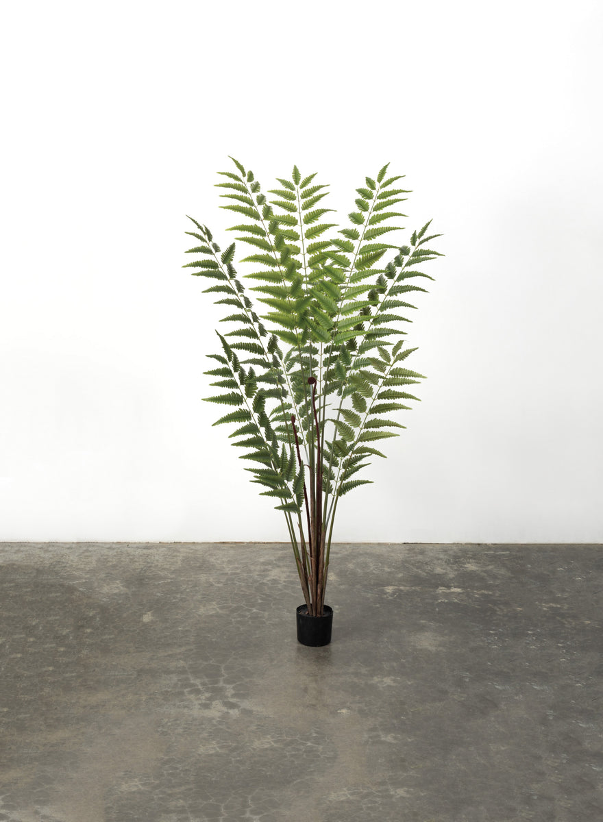 POTTED FERN – Transpac Brands