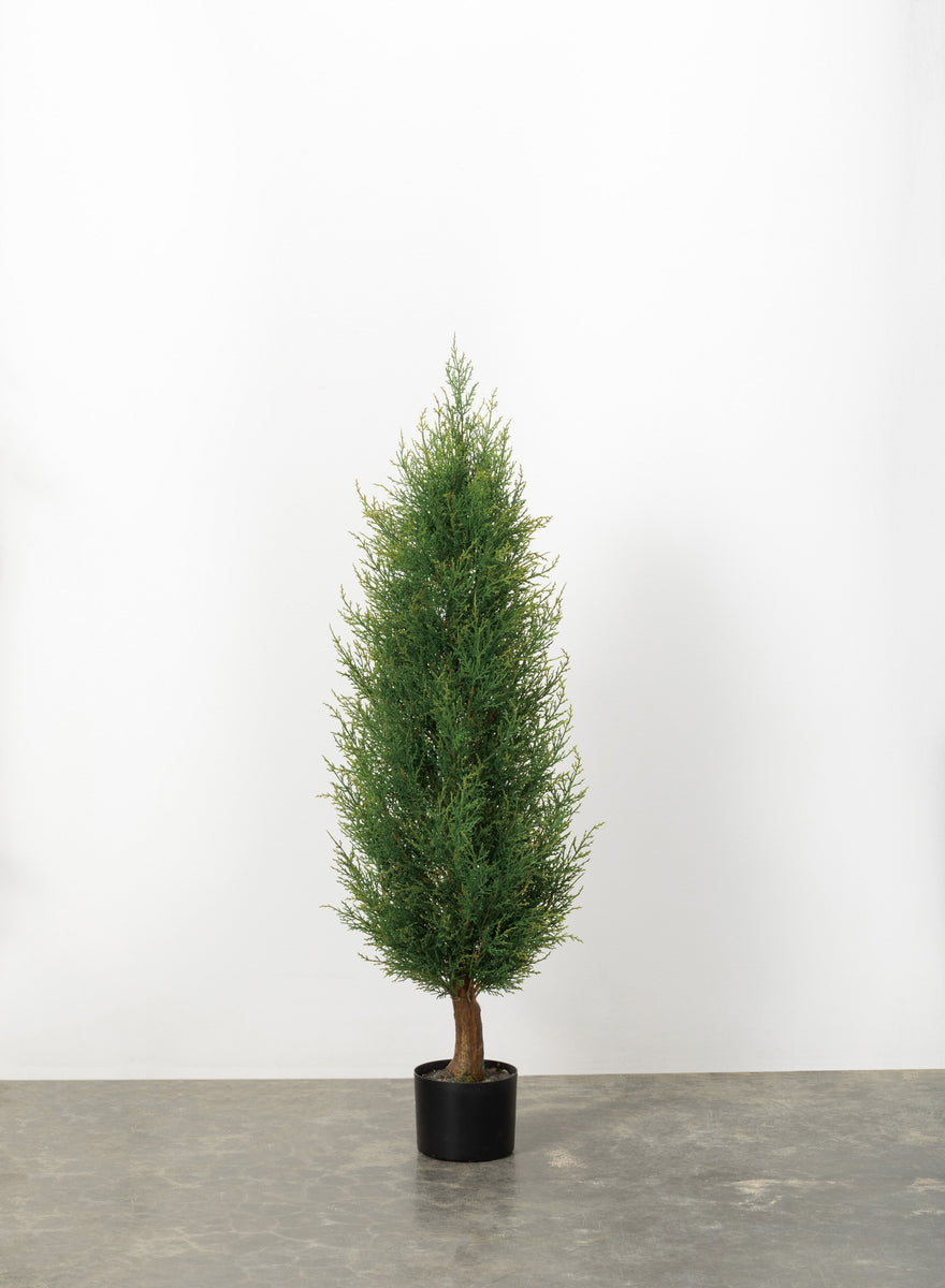 Cedar Arborvite Tree – Transpac Brands