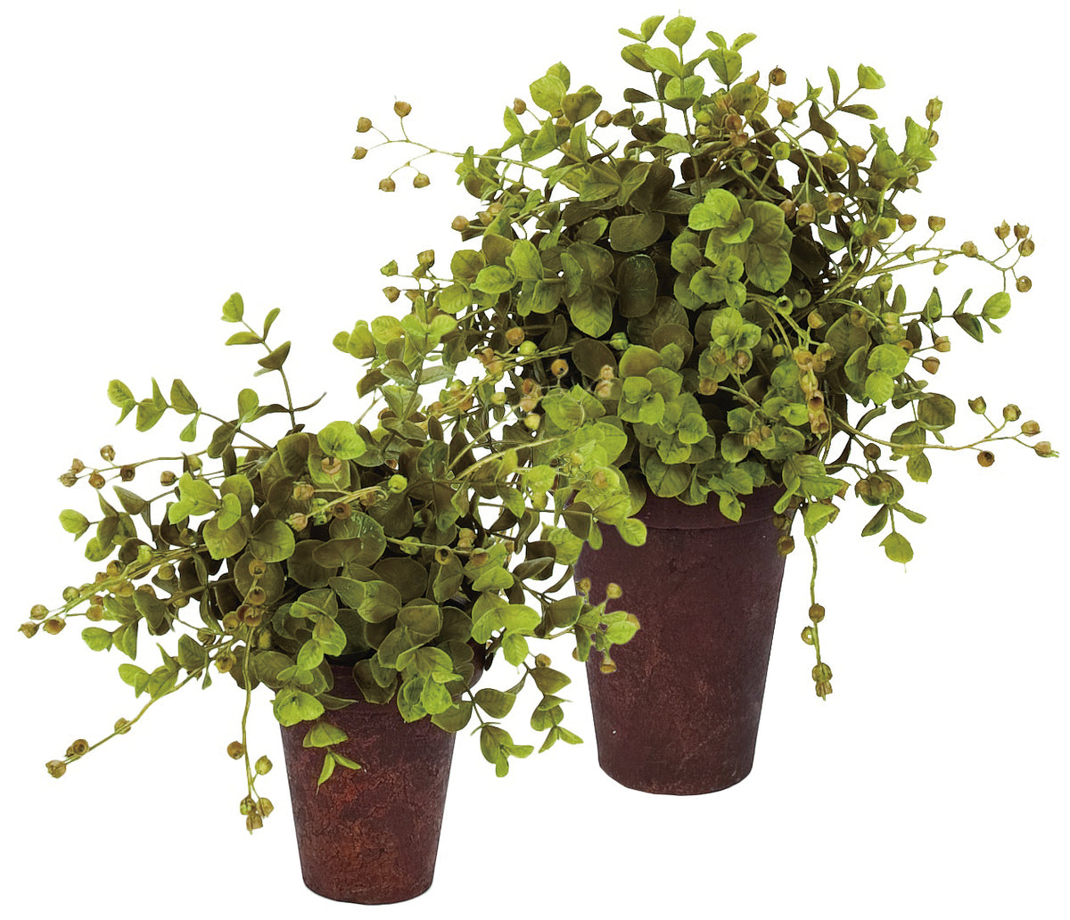 Eucalyptus Potted Orb (Assortment of 2) – Transpac Brands