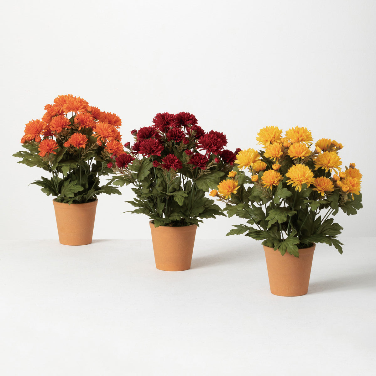 Potted Mum Bush (Assortment of 3) – Transpac Brands