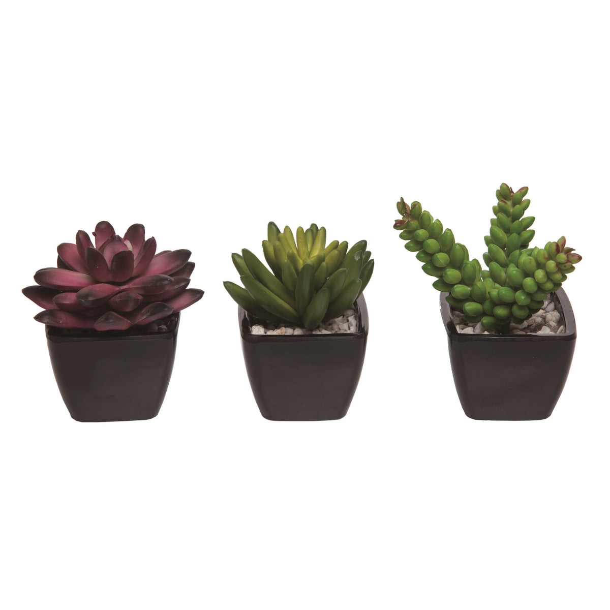 Plastic/Dol Succulent w/Planter 3 Asst – Transpac Brands