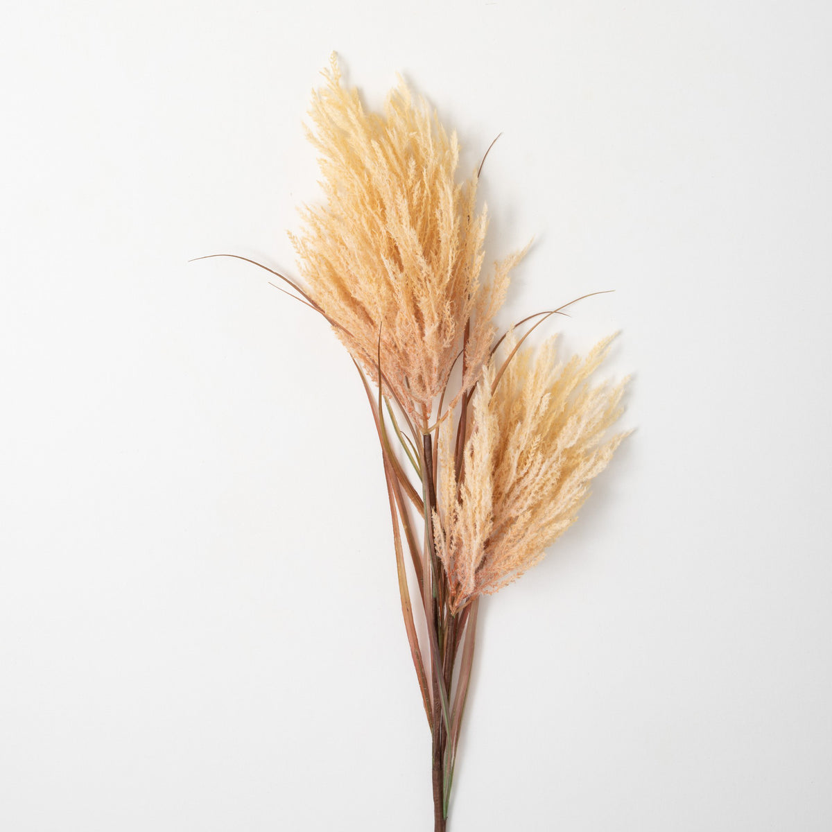Large Reed Stem – Transpac Brands