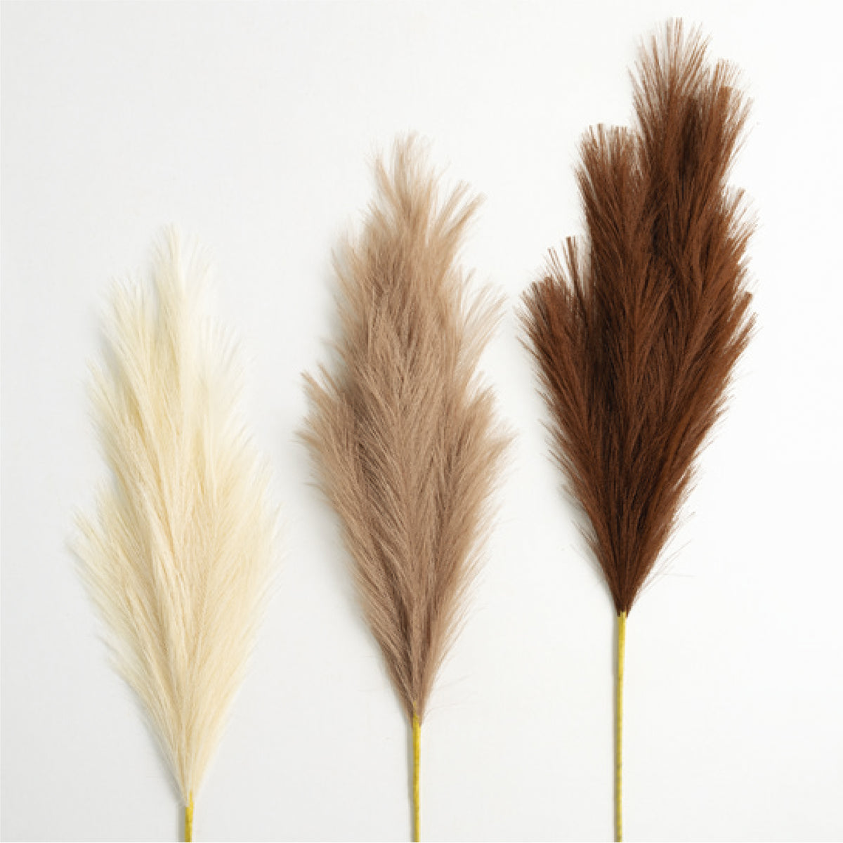REED SPRAY Set/3 – Transpac Brands