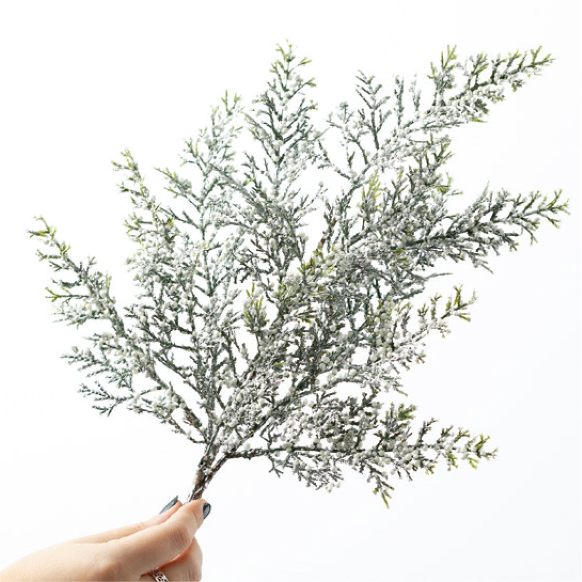 Cedar Pick – Transpac Brands