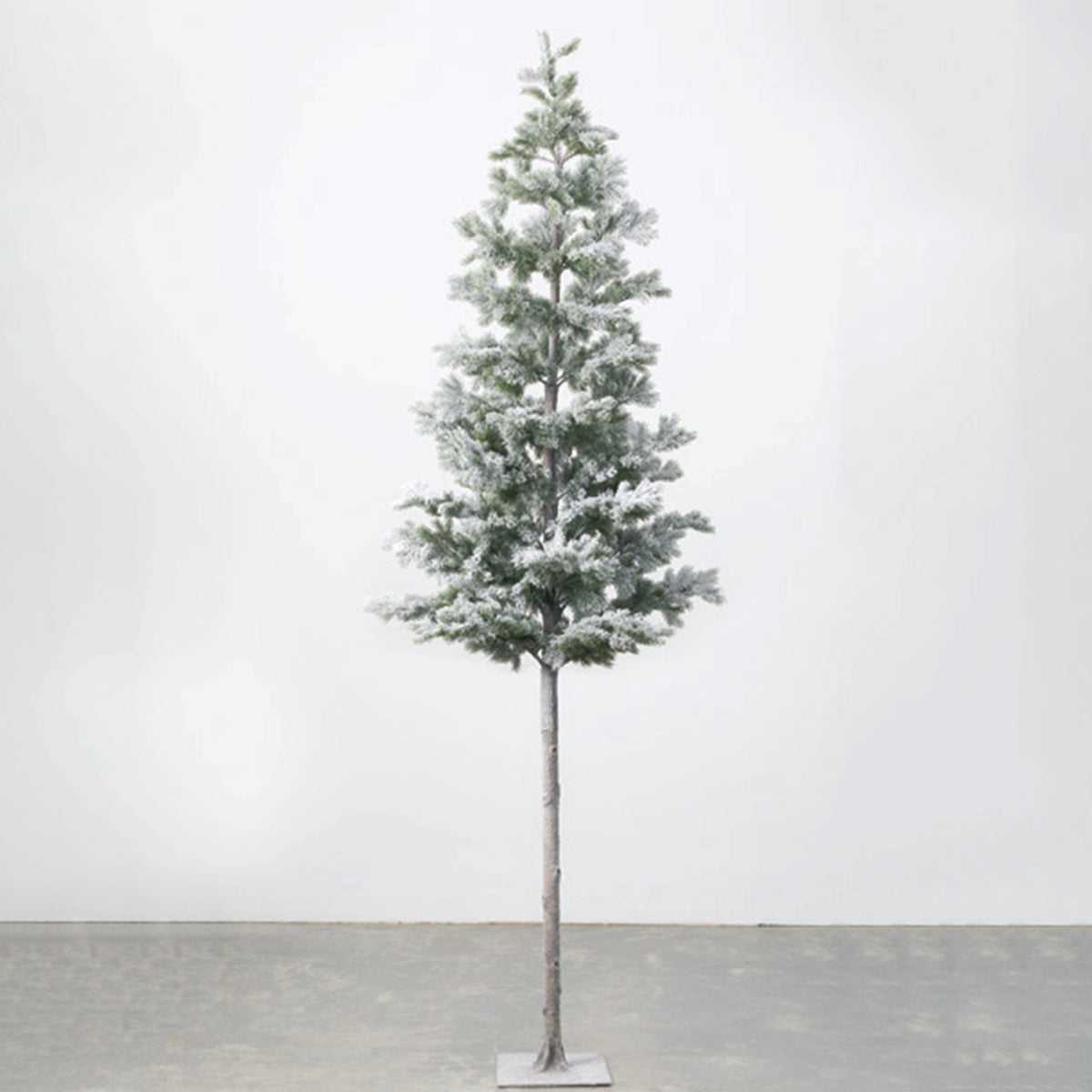 Iced Tree – Transpac Brands