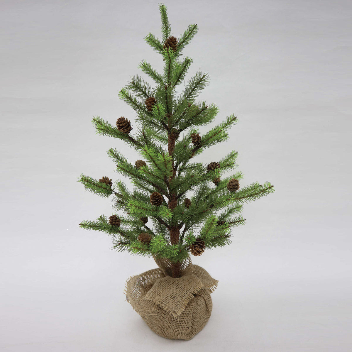 Pine Tree – Transpac Brands