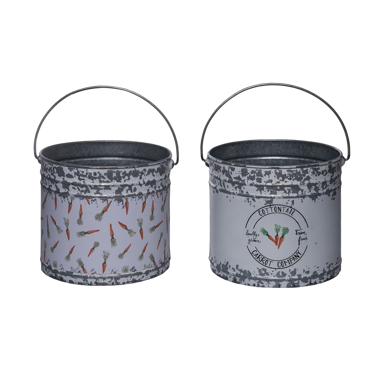 Metal Carrot Bucket 2 Asst – Transpac Brands