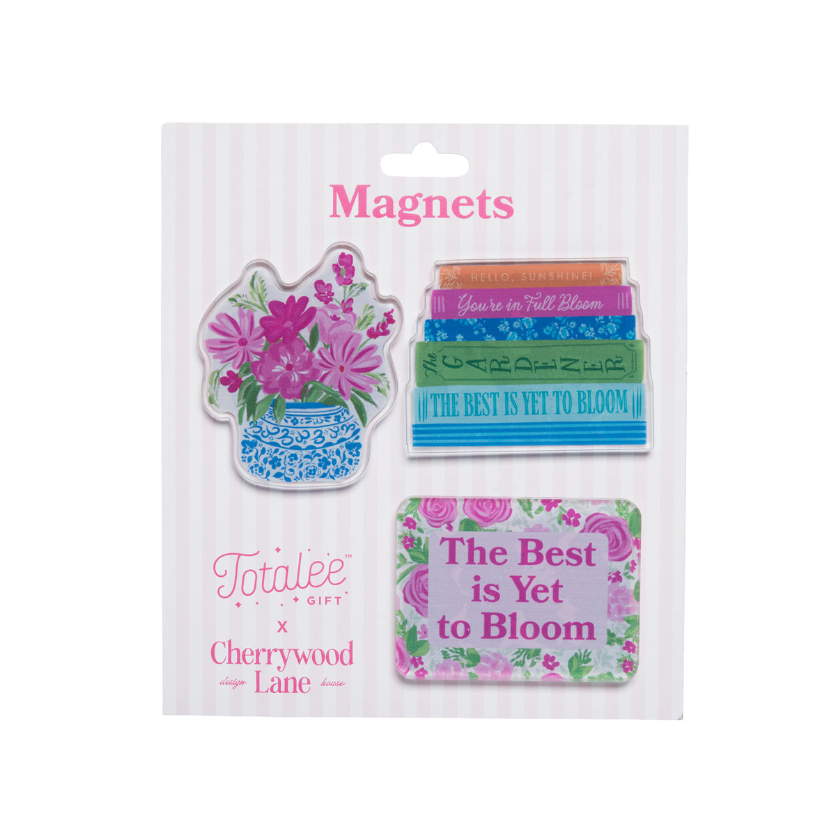 Book Lover Shaped Acrylic Fridge Magnets S/3 – Transpac Brands