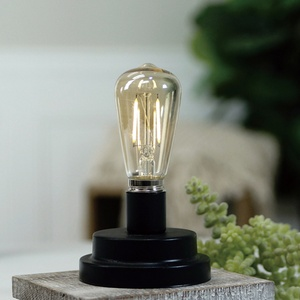 Decorative Led Edison Bulb – Transpac Brands
